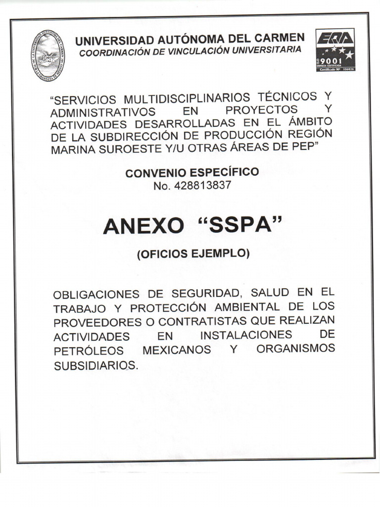 Ejemplo Anexo Sspa | PDF
