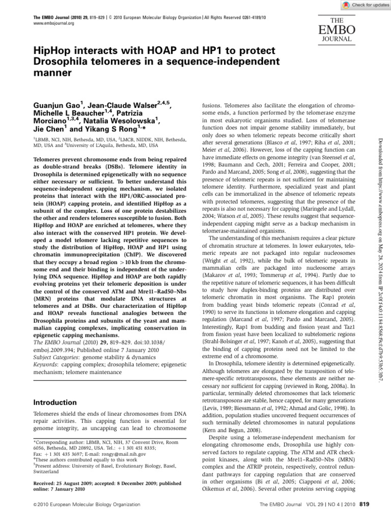 Gao Et Al 2010 Hiphop Interacts With Hoap and hp1 To Protect Drosophila ...