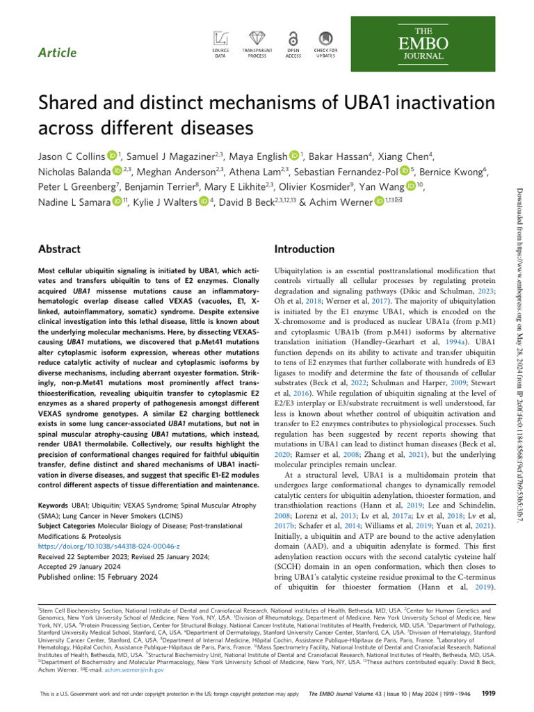 collins-et-al-2024-shared-and-distinct-mechanisms-of-uba1-inactivation ...