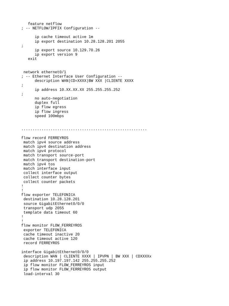 Plantilla Netflow Nuevo | PDF