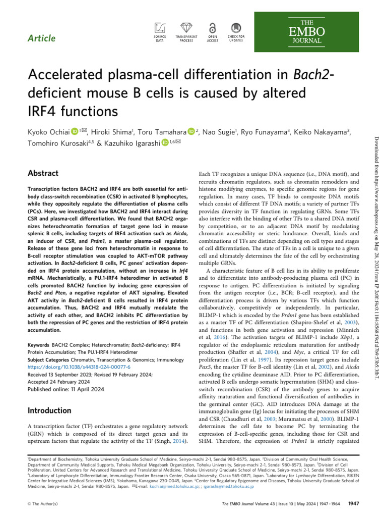 Ochiai Et Al 2024 Accelerated Plasma Cell Differentiation in Bach2 ...