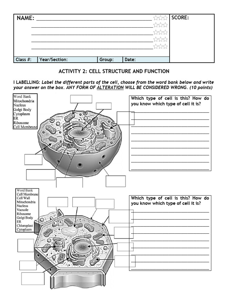 Science 7 2nd Activity 2 The Cell Structure and Function | Download ... Science 7 2nd Activity 2 The Cell Structure and Function | Download ...