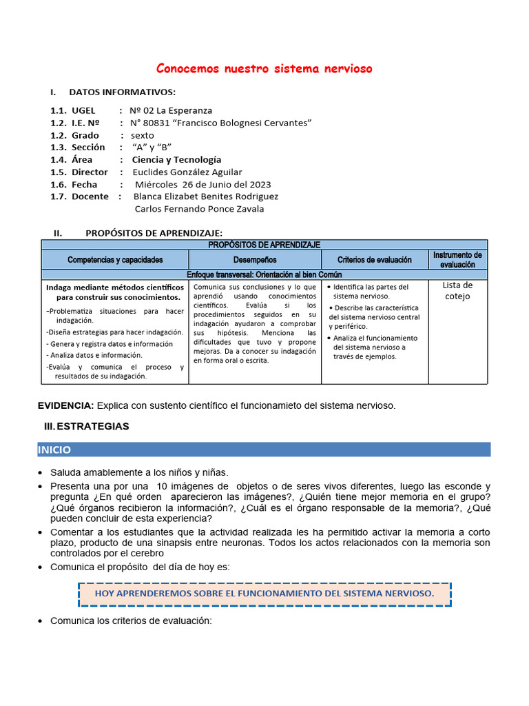 ACT-CT-SISTEMA NERVIOSO | PDF | Cerebro | Sistema nervioso