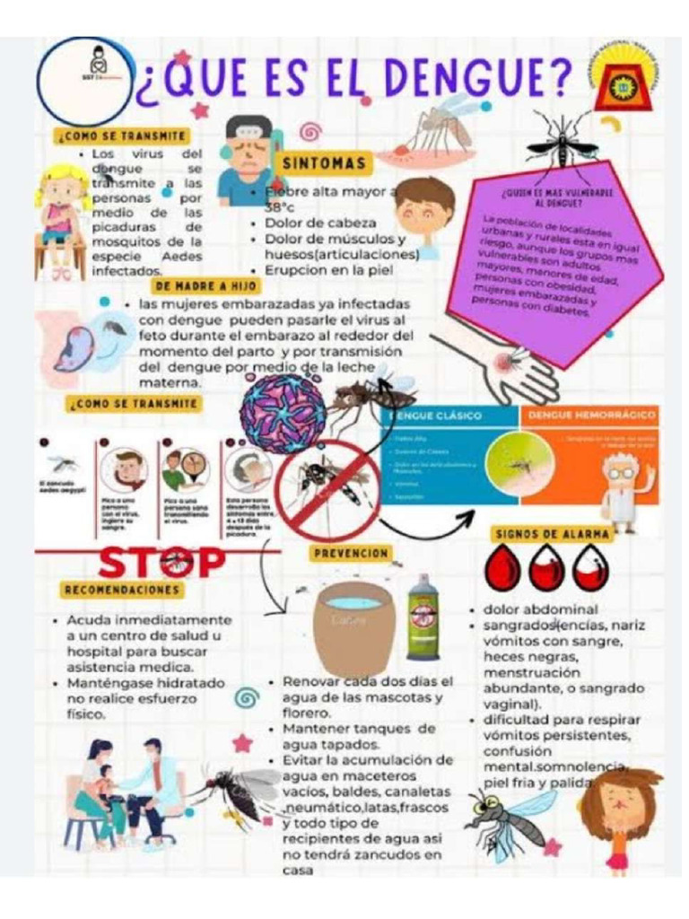 Ficha Infografía de Dengue | PDF