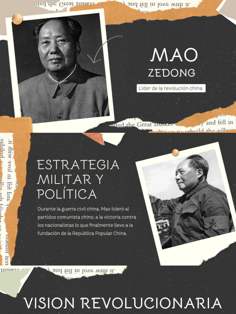 MAO | PDF