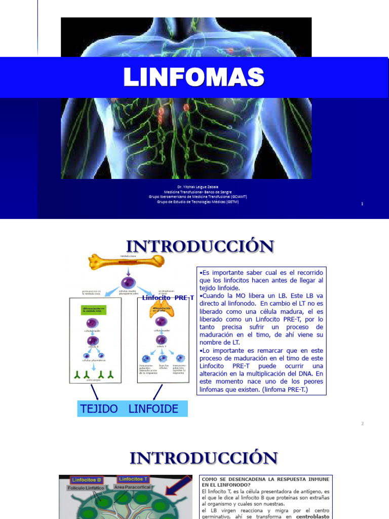 Linfomas: Tipos, Diagnóstico y Tratamiento | PDF | Célula T | Linfoma