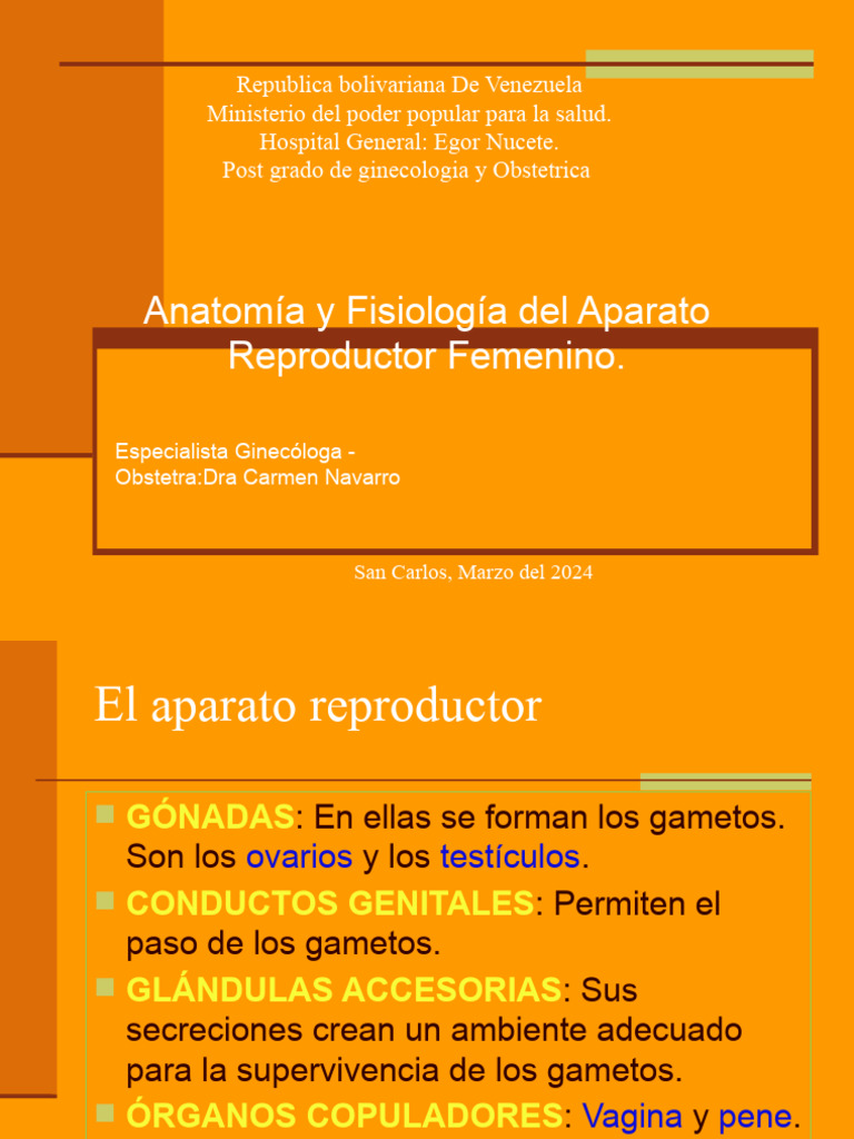 Fisiología y Anatomía Del Aparato Reproductor Femenino | PDF | Sistema reproductivo | Ciclo ...