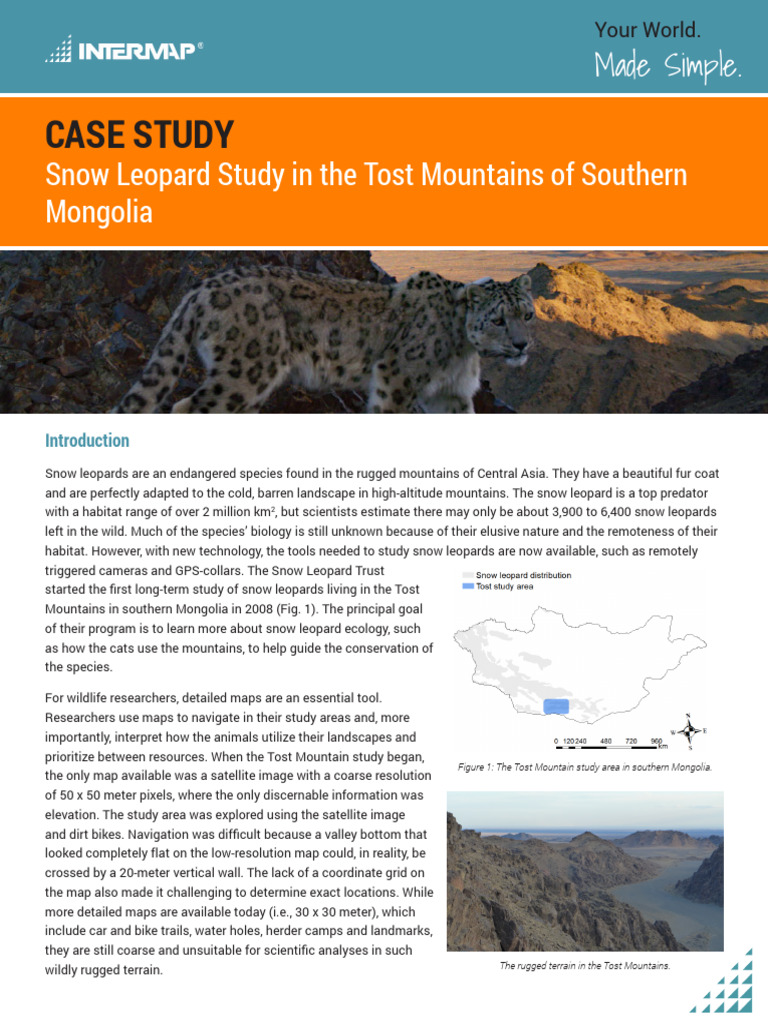 INTERMAP Snow Leopard Case Study 2021 v3.1 | PDF | Leopard | Predation