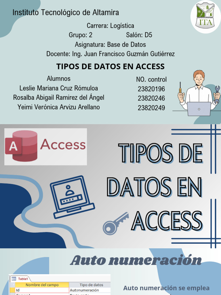 Tipos de Datos en Access: Guía Completa | PDF | Tipo de datos | Bases de datos
