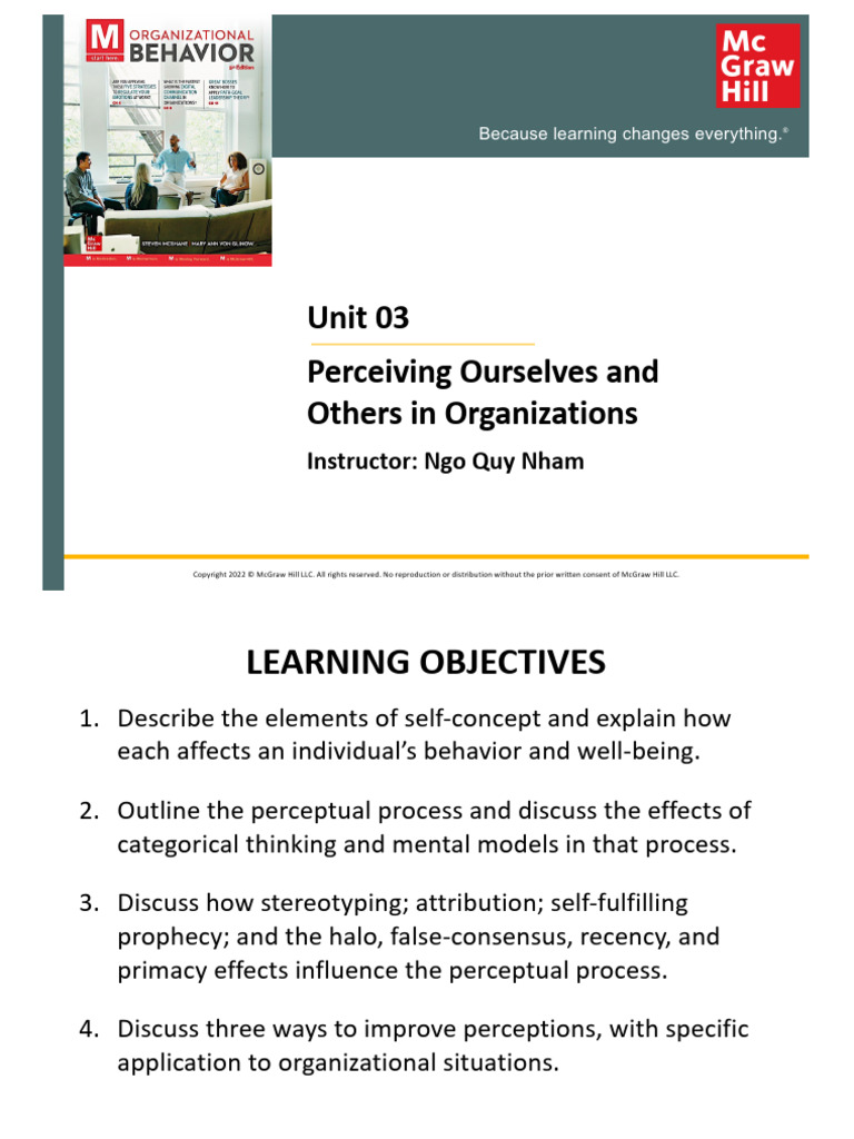 Organisational Behaviour - Chapter 3 | PDF | Self Concept | Perception