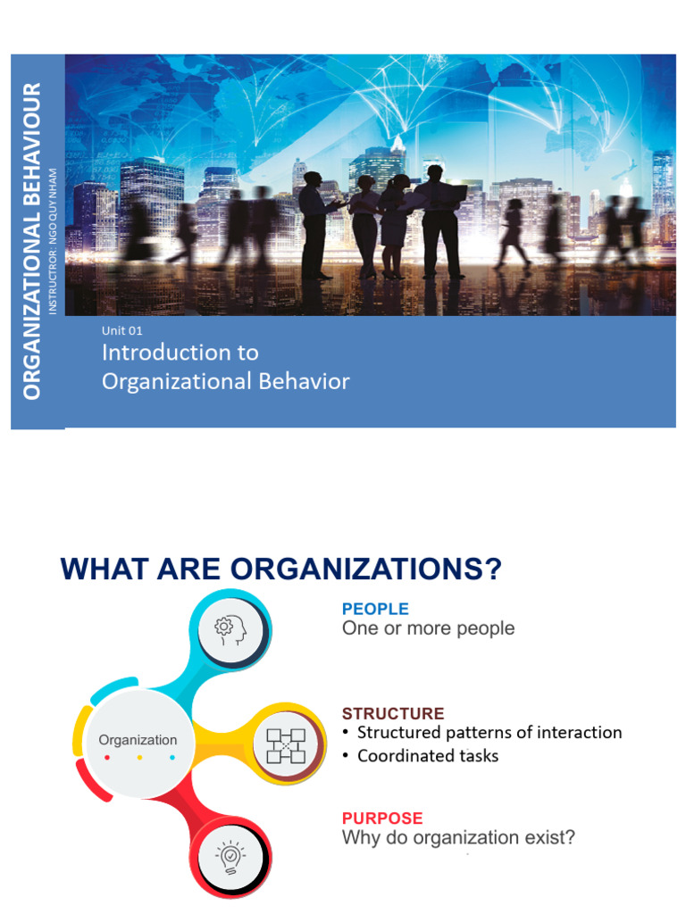 Organisational Behaviour - Chapter 1 | PDF | Organizational Behavior ...