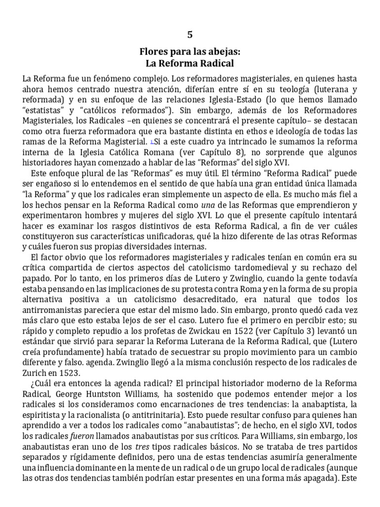 La Reforma Radical y Europa Dividida - Nick Needham | PDF | Bautismo ...