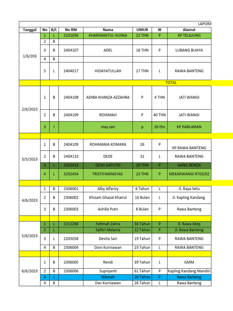 Laporan Pasien Bulan Juni 2023 | PDF