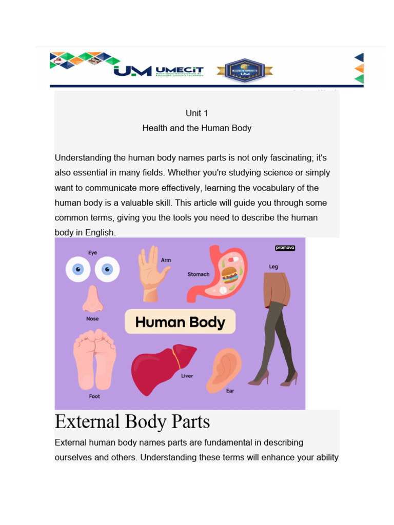 Health and The Human Body | PDF | Human Leg | Hand