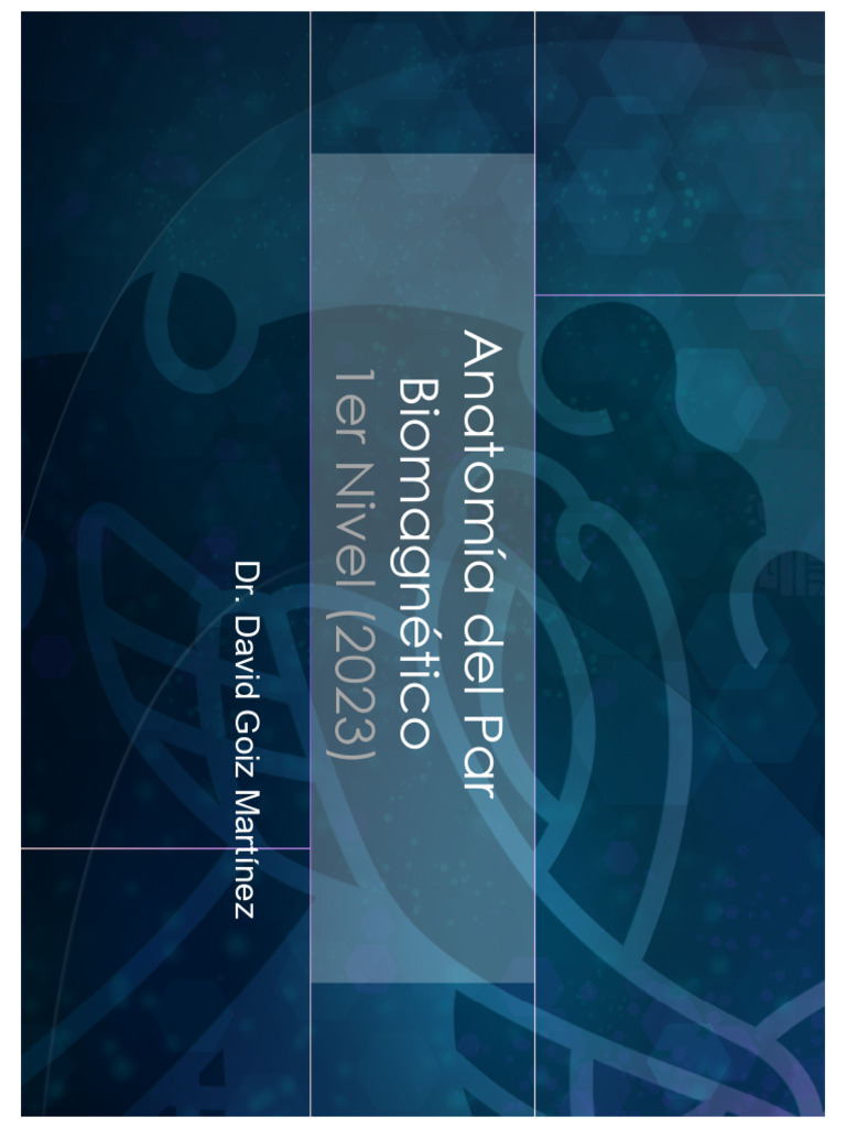 Anatomía del Par Biomagnético 1er Nivel | PDF | Páncreas | Digestión