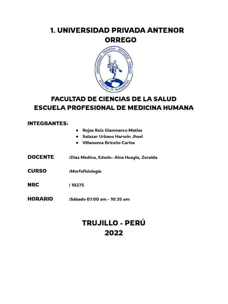 Semana 11 Informe-Fisio | PDF | Tiroides | Hormona