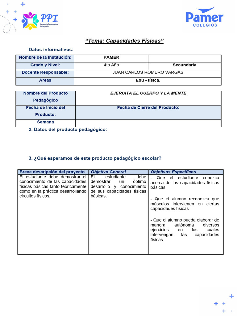 Ppi - 4S - Ibim | PDF | Modificación de comportamiento | Cognición