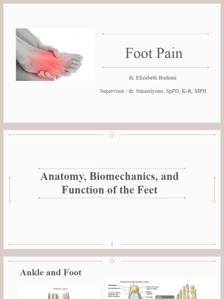 Foot Pain - Elizabeth Budiani | PDF | Foot | Ankle