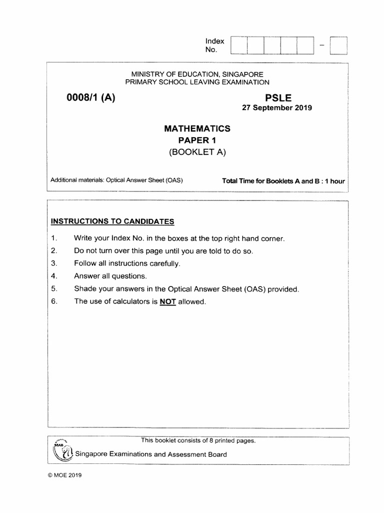 2019 Psle Paper | PDF