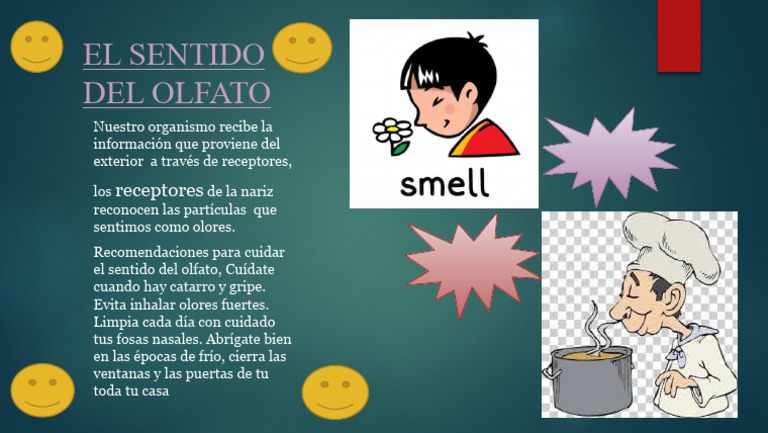 El Sentido Del Olfato Sexto Grado A | PDF | Cocina, comidas y vino