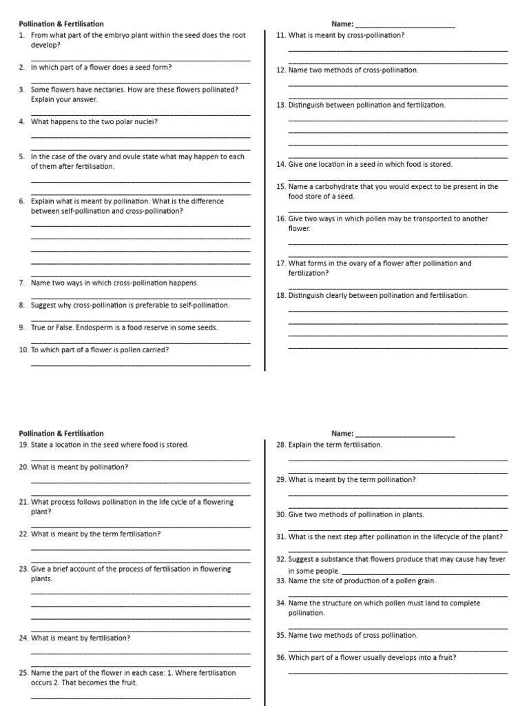 Pollination vs. Fertilization Worksheet | PDF | Pollination | Flowers