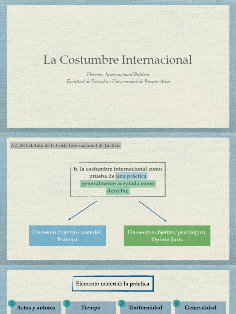 La Costumbre Internacional | PDF | Gobierno | Ciencias Políticas