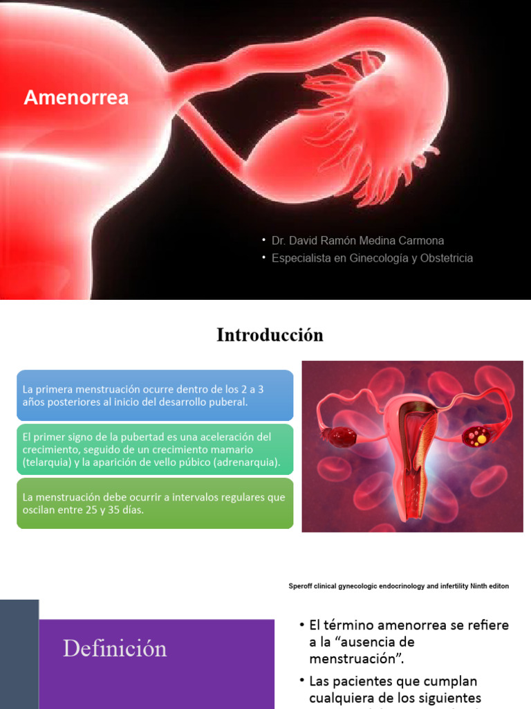 Amenorrea 2024 | PDF | Menstruación | Ovario