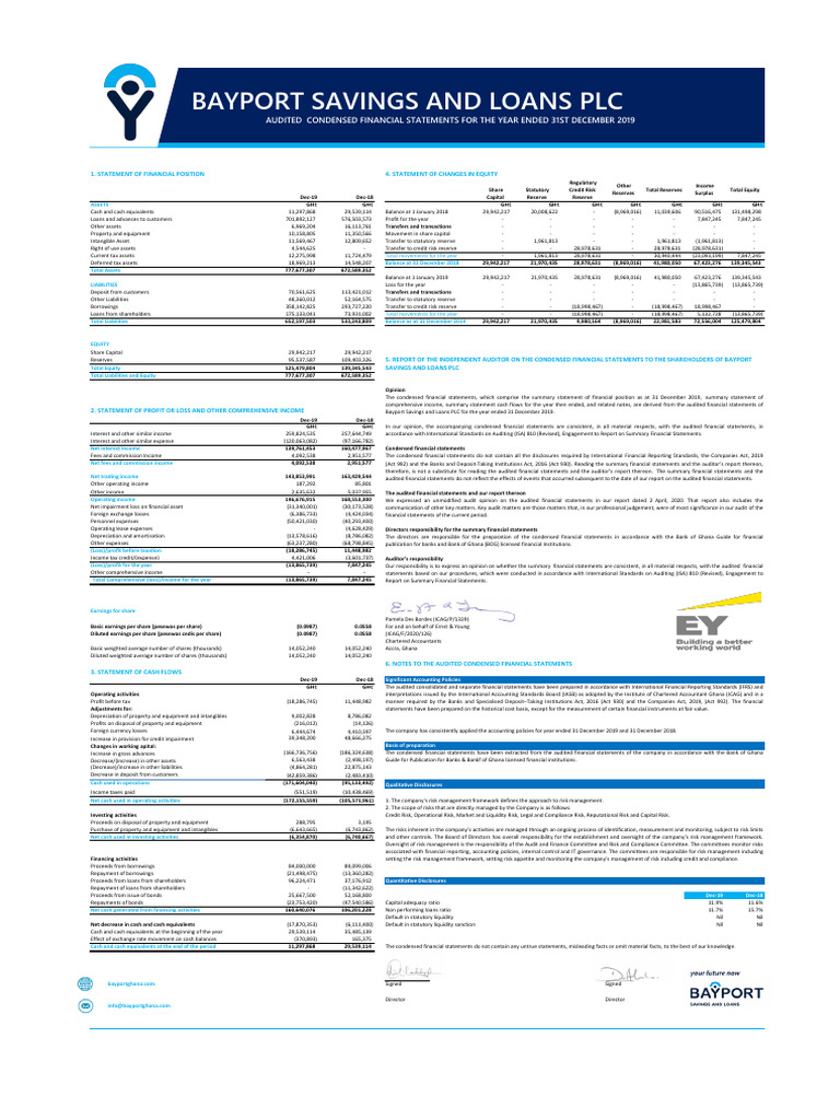 Bayport Savings 2019 Financial Statements | PDF | Financial Statement ...