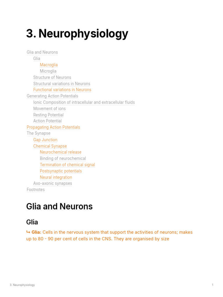 3 Neurophysiology | PDF | Chemical Synapse | Action Potential
