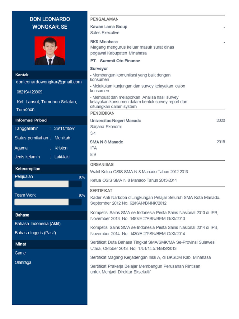 Profil Profesional Sales Executive Tomohon | PDF