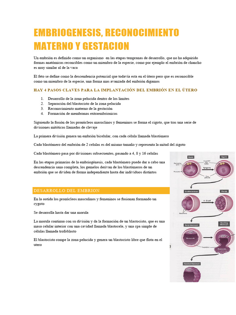 EMBRIOGENESIS | PDF | Placenta | Reproducción