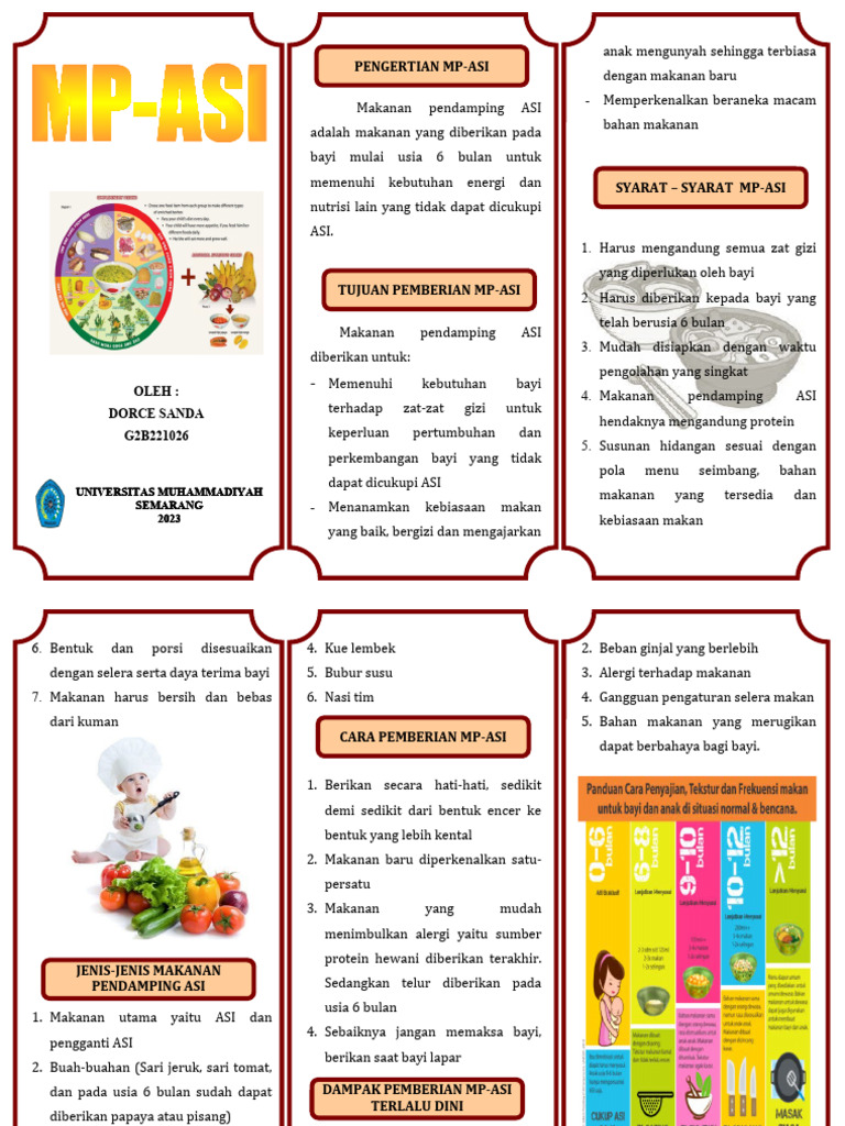 Leaflet MP-ASI - Dorce Sanda | PDF