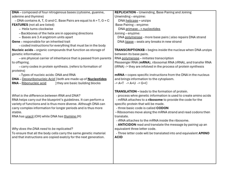 DNA Notes_Grade 10 | Download Free PDF | Rna | Dna
