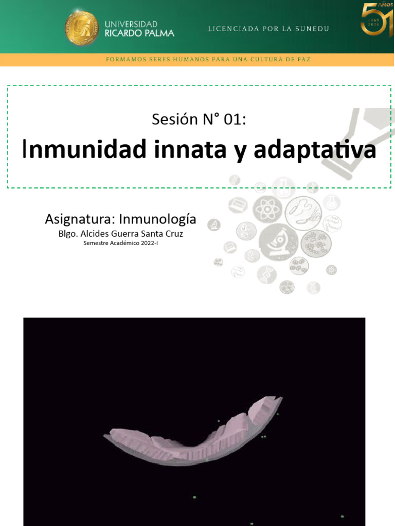 SESIÓN Nº 01 Inmunidad innata y adaptativa | Descargar gratis PDF | Sistema inmune | Sistema ...