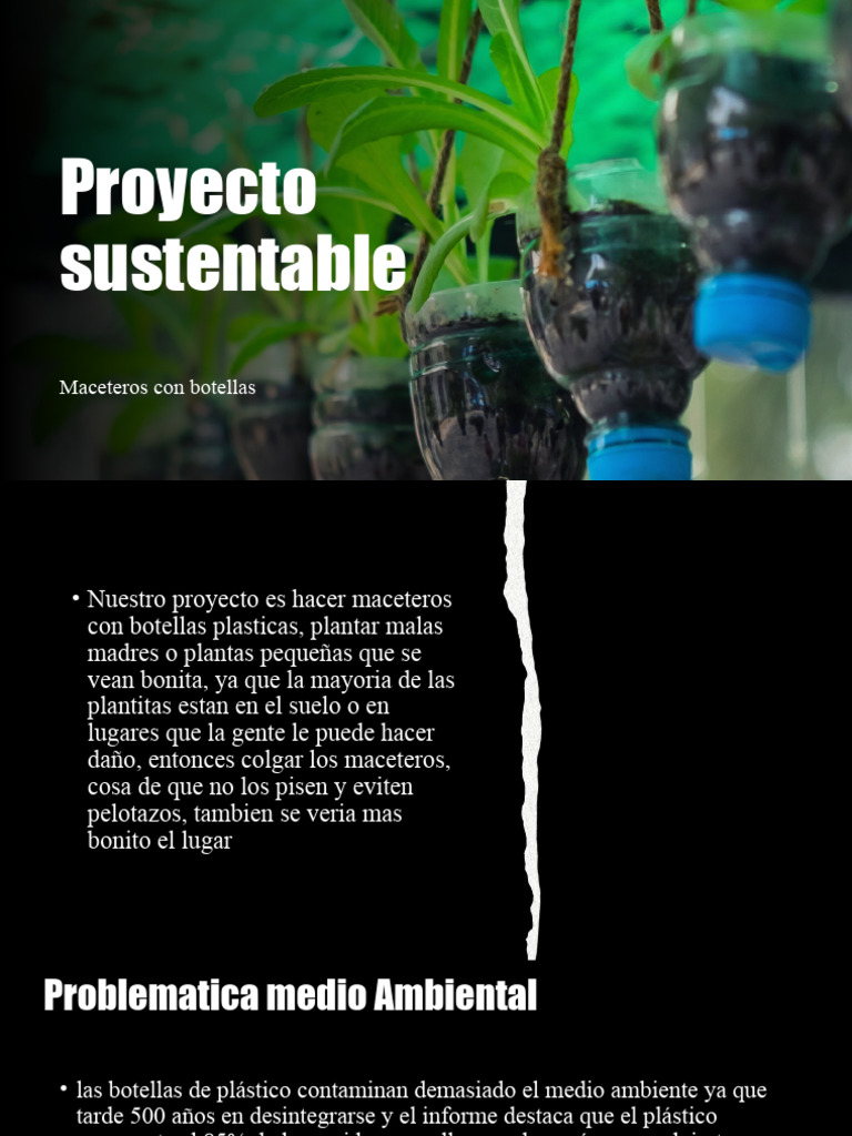 Maceteros Sostenibles con Botellas | PDF