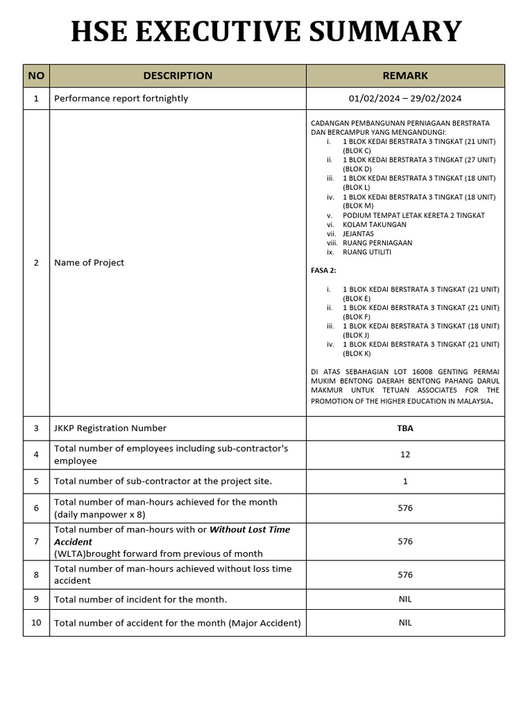 HSE Executive Summary 01022024 - 29022024-1-6 | PDF