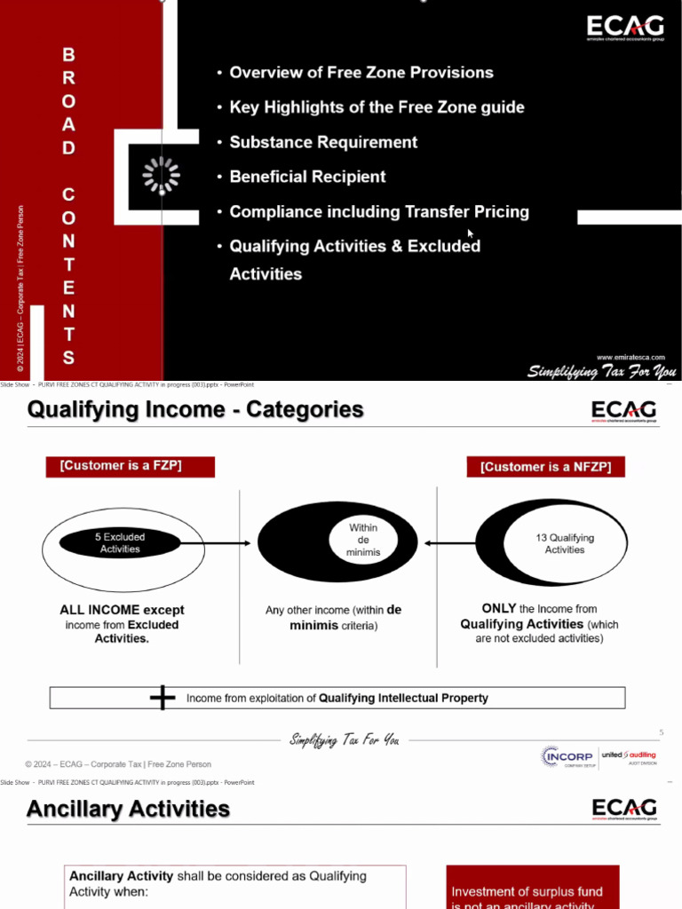 ECAG Webinar On Freezone | PDF