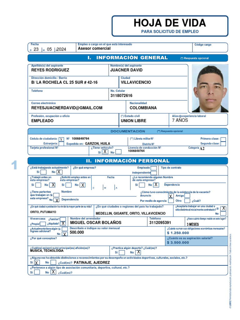 Hoja de Vida Minerva | Descargar gratis PDF | Economias