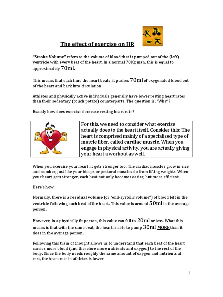 Effects of Exercise on Heart Rate | PDF