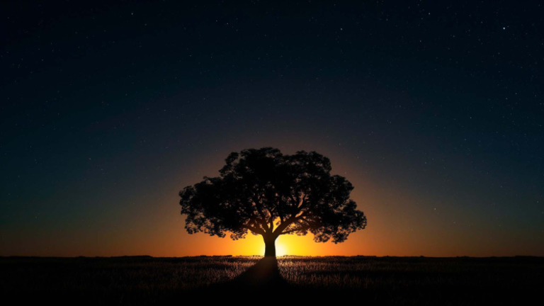 Wallhaven-Werowr 1920x1080 | PDF