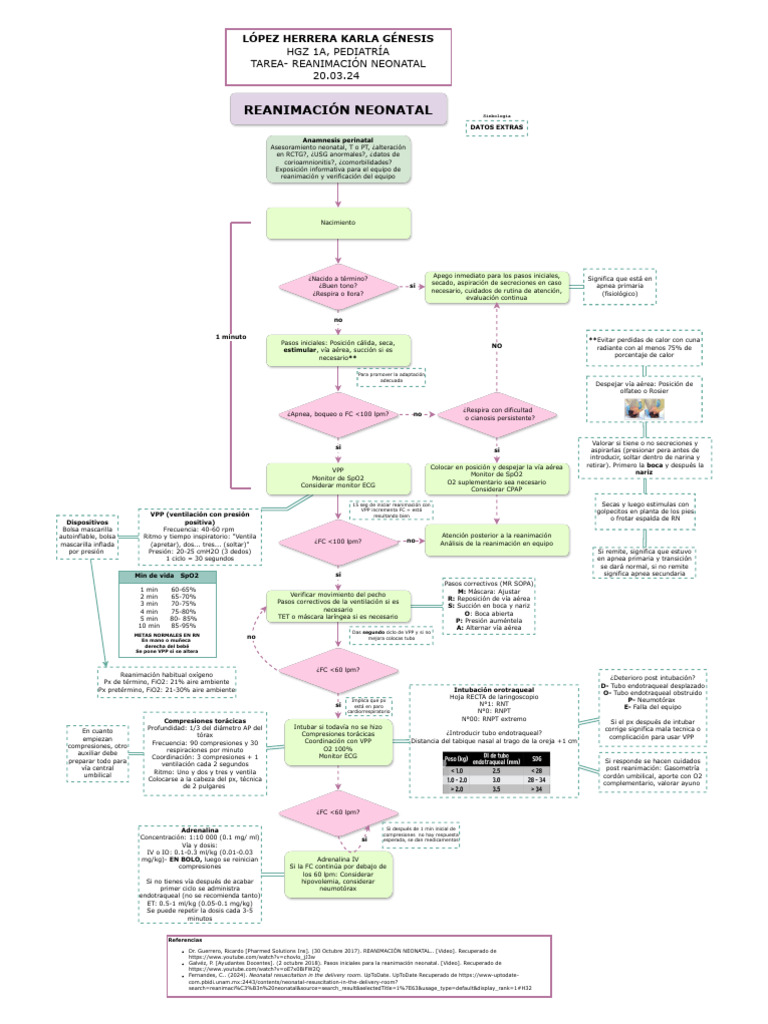 REANIMACIÓN NEONATAL.drawio | PDF | Reanimación cardiopulmonar | Medicina CLINICA