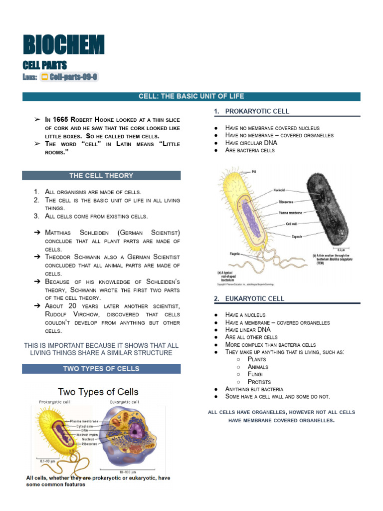 Cell Parts - Biochem | PDF | Cell (Biology) | Cytoplasm
