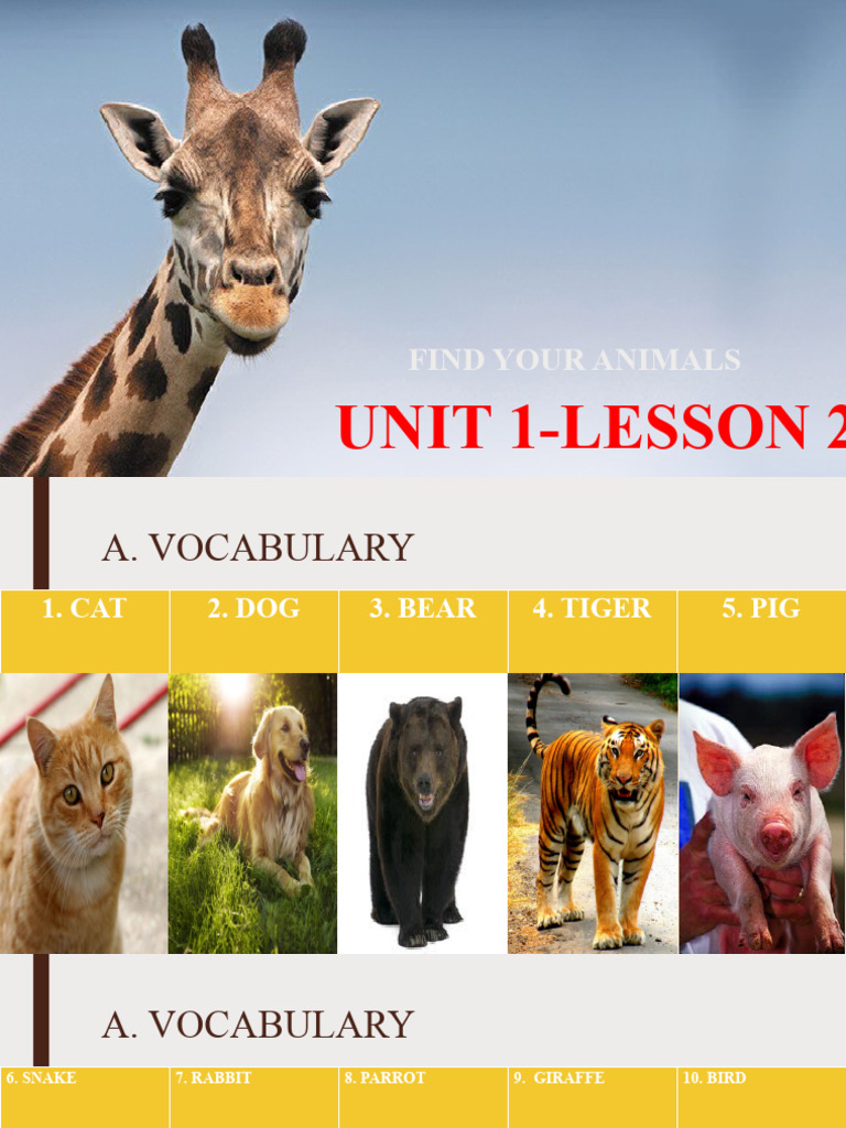 U1 l2 Animals | PDF