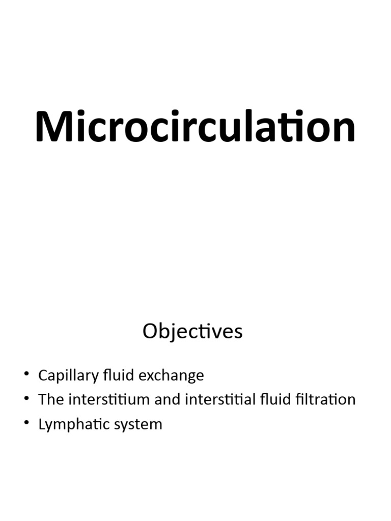 4 Microcirculation And Lymphatic System Pdf Organ Anatomy