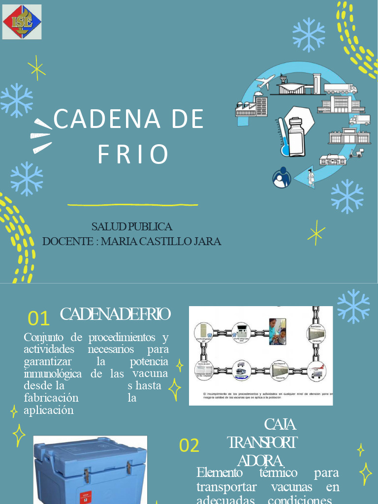 Cadena de Frío en Vacunas: Guía Esencial | PDF | Refrigerador