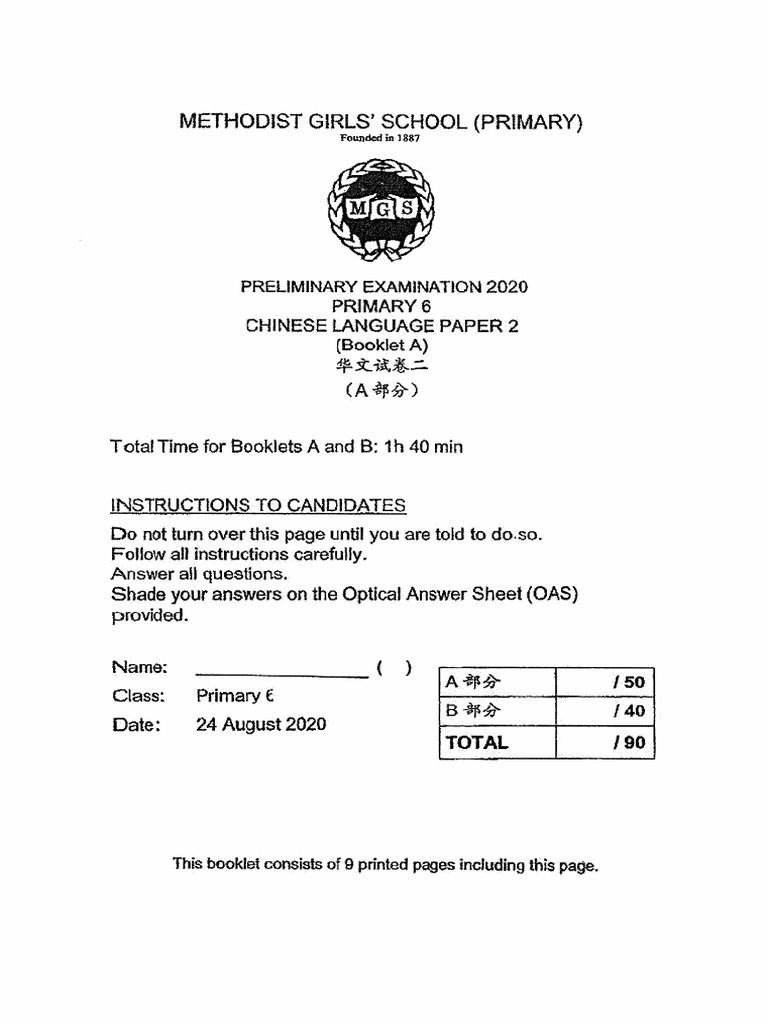 P6 Chinese SA2 2020 MGS Exam Papers | PDF