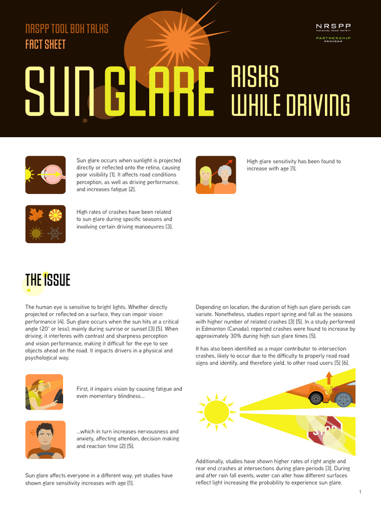 Sun Glare: Driving Risks and Tips | PDF | Visual Perception | Road ...