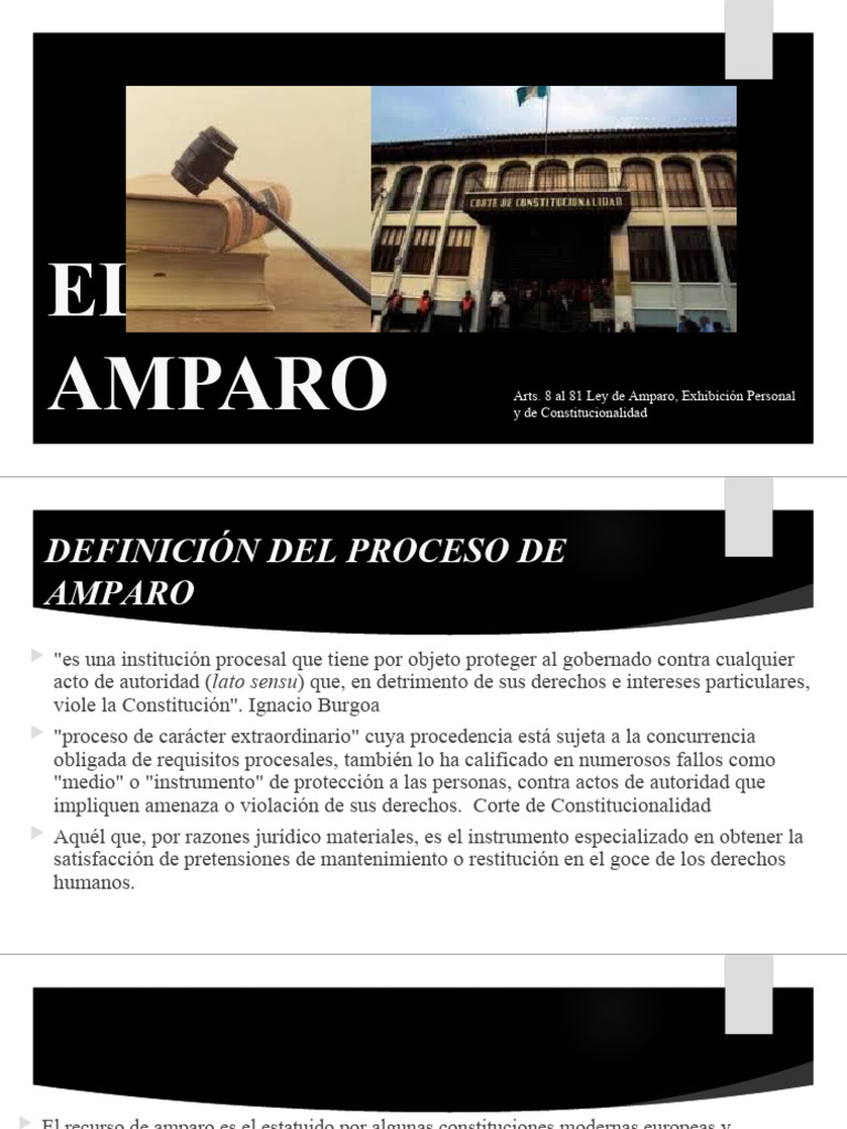 El Amparo - C | PDF | Judicaturas | Derecho Constitucional