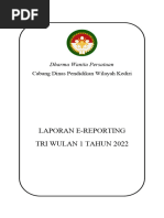 E - Reporting LPPK DWP KAB KOTA | PDF