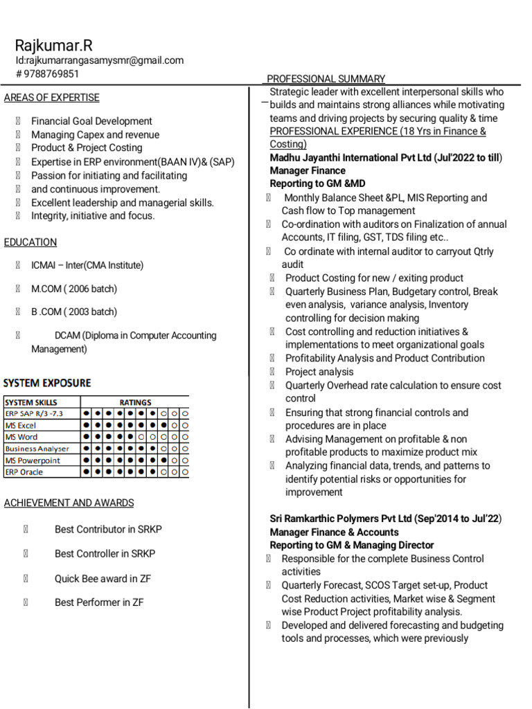 Resume MJ | PDF | Audit | Inventory